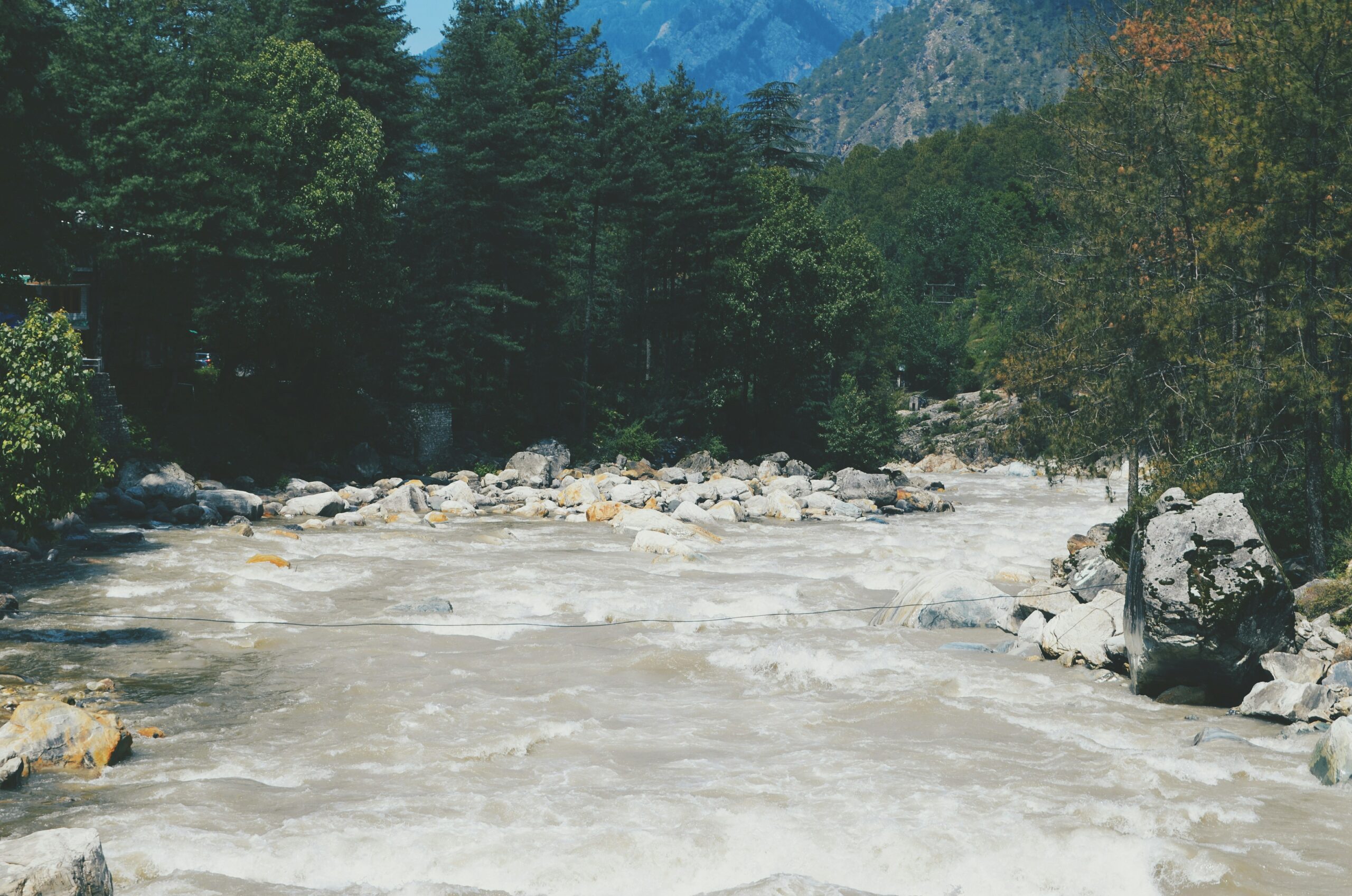 The River is Rising – Shelly Wilson Ministries